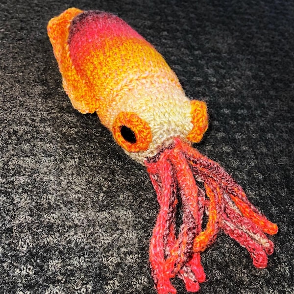 PATTERN ONLY Rainbow Cuttlefish Amigurumi Crochet - Etsy