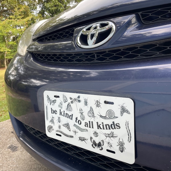 Front License Plate | Be Kind to All Kinds Vanity Plate | Cottagecore ...