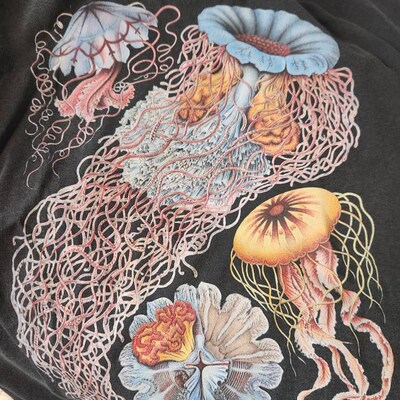 Cottagecore Birds and Flowers Shirt, Folk Art Scandi Art T Shirt, Plus ...