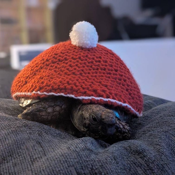 Santa Hat Tortoise Cosy, Pet Photo Prop, Pet Costume, Tortoise Costume ...