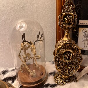 Mermaid Skeleton Curiosity Cabinet | Etsy