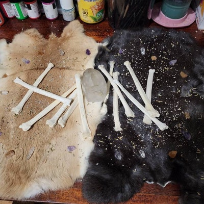 1 Pcs Natural Color Rabbit Fur Pelts Craft Grade Assorted - Etsy