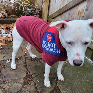 Vest select Your Size, STOP Do Not Approach, Light Weight Sd Style Vest ...