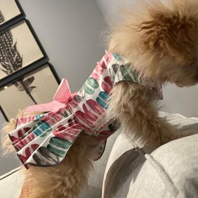 Dog Show Training Stack Box Toy Adult Size Stack Training 20 X 12 ...