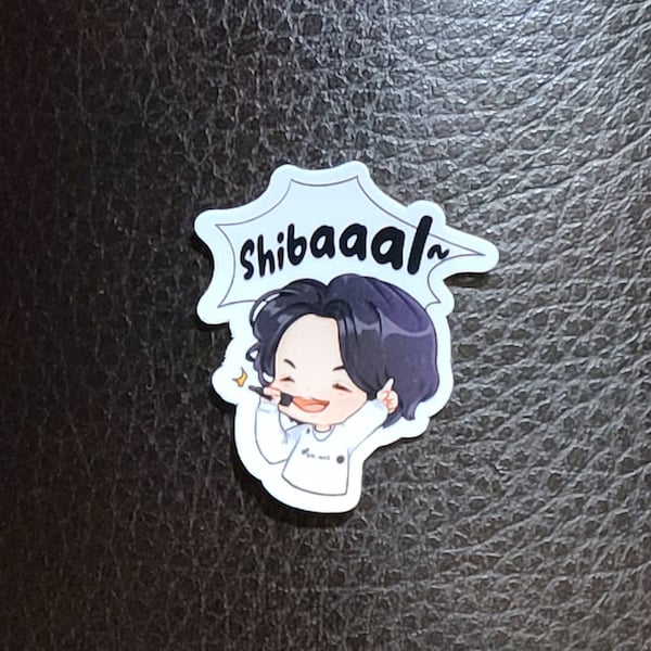 Yoongi Shibal DDAY Concert Vinyl Waterpoof Sticker | Suga Agustd ...