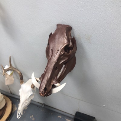 European Skull Mount Hanger Bracket KRENEK SKULL BRACKET Deer, Hogs ...