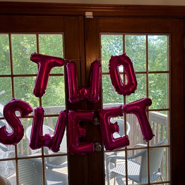 Two Sweet Balloons Donut Birthday Decor 2nd Birthday Party 2nd Birthday ...
