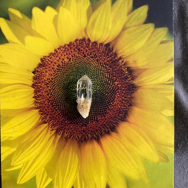 MAGICAL Color Change DRAGON SPIRIT- Crystal or Dice Holder, D&D, Witch ...