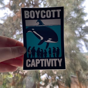 Indigenous Rights Activism Decal Set, Human Rights Decolonize Sticker ...