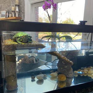 Custom Large Reptile Bearded Dragon Basking Platform MADE TO - Etsy