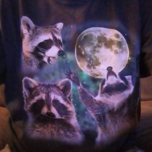 Three Raccoons Retro Graphic T-shirts, Vintage Comfort Colors® Raccoon ...
