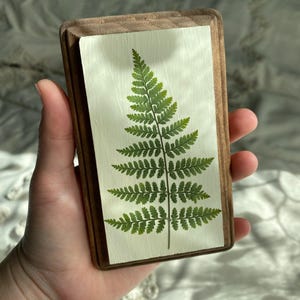 Create Your Own Gallery Wall Herbarium Wooden Wall Art Botanical Fern ...