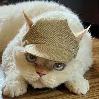 Classic Cat Hat. Cap for Cats and Kittens. Yellow Herringbone Hat. Pet ...