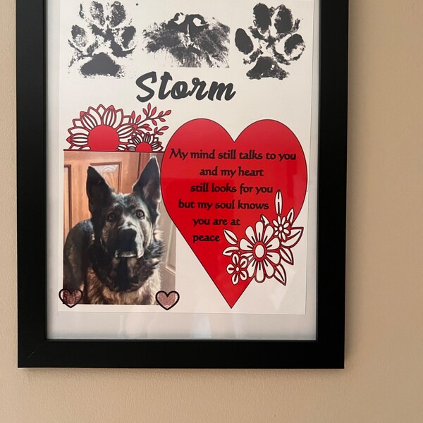 Personalized Pet Memorial Shadow Box, Sympathy Frame, 3D Paw Print ...