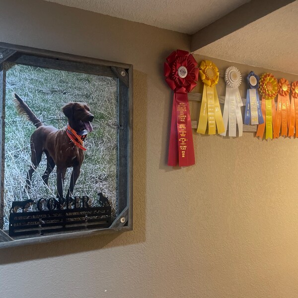 Reclaimed Wood Plank | Bundle DIY Projects | Wood Panels | Multiple ...