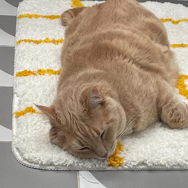 Nereida Bath Mat – Scalloped Design Microfiber Absorbent Non Slip Rug ...