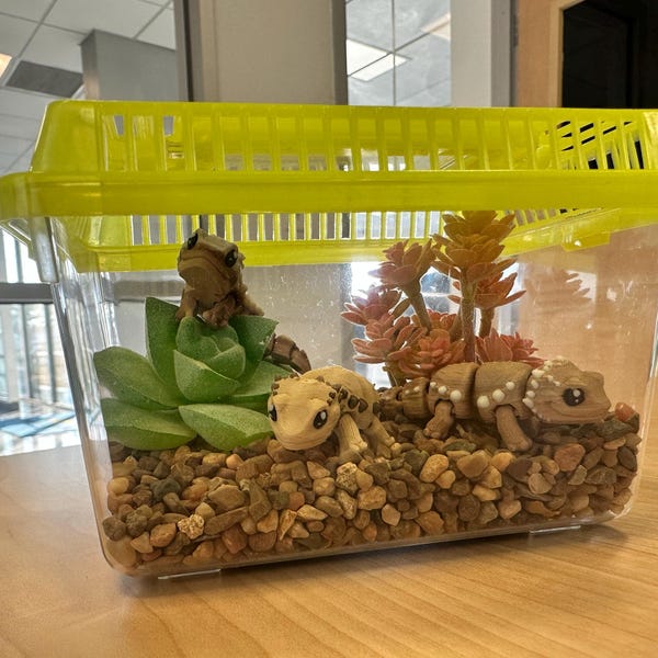 Animal Terrarium or Aquarium Kit - Etsy