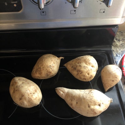 Malanga Coco Yam, Malanga Coco Root, Yautia, Cocoyam, Tannia, Eddo 4 ...