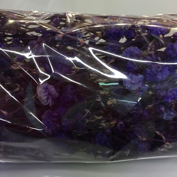 Vintage Pink/purple Limonium Lover Grass Preserved Flowers Caspia Tiny ...