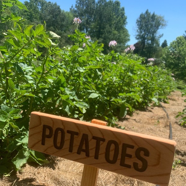 POTATOES Garden Marker, POTATOES Garden Sign Painted & Oil Sealed Cedar ...