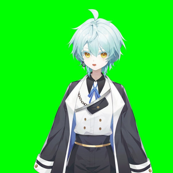 Custom Vtuber Live2d Model: Design, Rigging, and Fan Art Commission - Etsy
