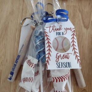 EDITABLE Lab Appreciation Week Itinerary Poster, Printable Digital File ...