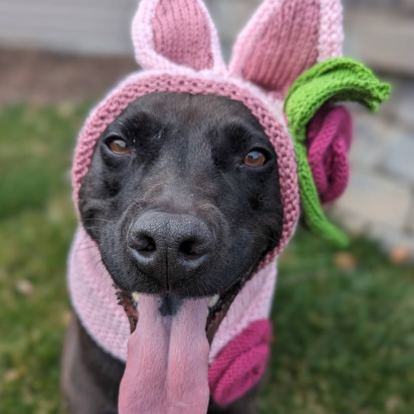 KNITTING PATTERN, Pit Bull Bunny Dog Hat, Dog Snood, Bunny Hat, Large ...