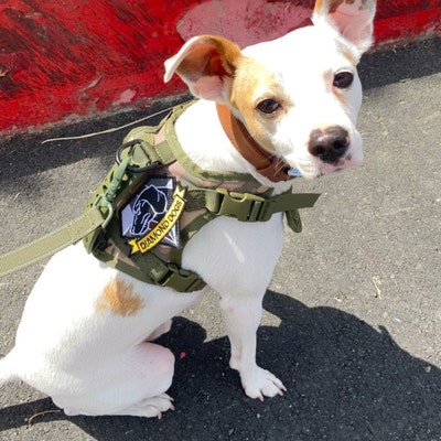 Richardson 112 TRX Hat Ram Custom Leatherette TRX Patch Hat Racing Hat ...