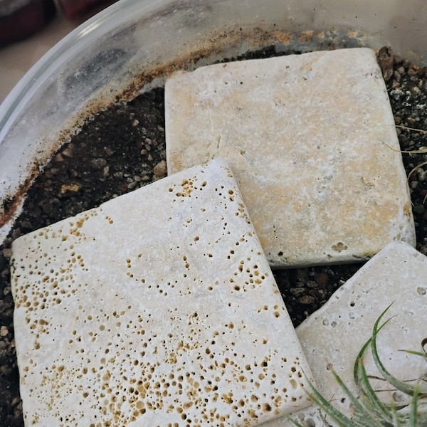 Handmade Turkish Limestone Tile: Alexandria Gold, 4x4 Accent Tile - Etsy