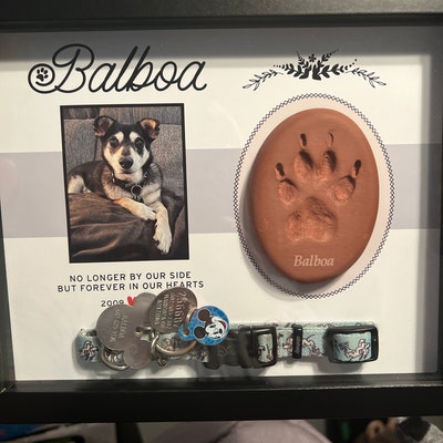 Pet Memorial Paw Print Harness Holder Shadow Box, Pet Loss Frame, Clay ...