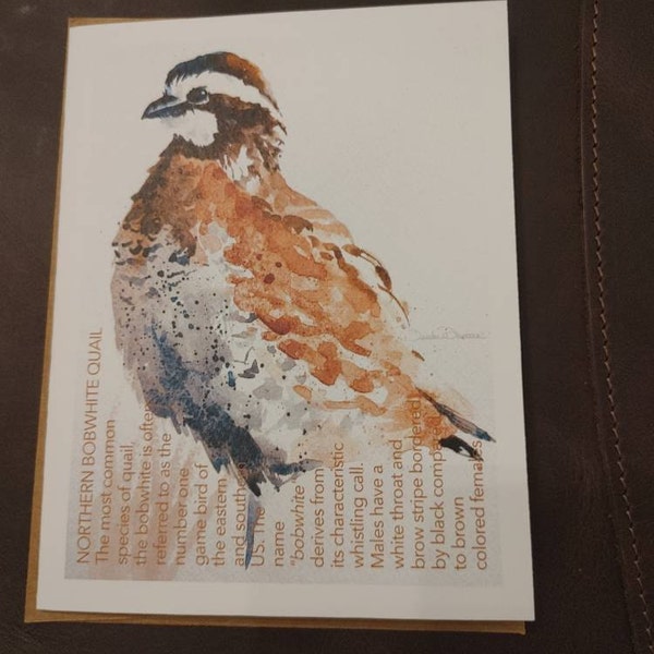 Bobwhite Quail Original Watercolor Note Cards, 4.25x5.5 Size, Blank ...