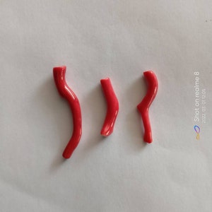 16.9x14.0mm Natural Deep Sea Angel Skin Color Coral Oval | Etsy