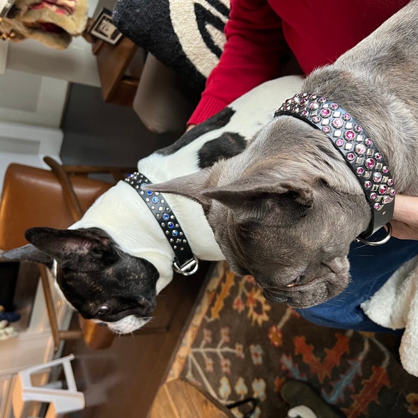 1/2 Keswick Small Leather Dog Collar. DESIGN YOUR OWN - Etsy