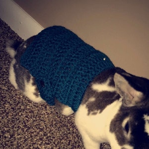 Rabbit Clothes, Rabbit Sweater, Rabbit Costume, Sweater for Bunny ...