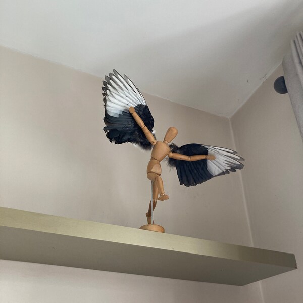 A Pair of Magpie Wings Perfect for Crafting. - Etsy