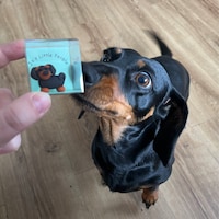 Spaniel Dog Baubles Christmas Decorations Springer Spaniel - Etsy UK