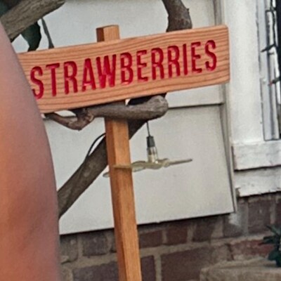 CAT X-ING Caution Sign, Hand Routed Cedar Wood Yard Sign, Cat Lovers ...