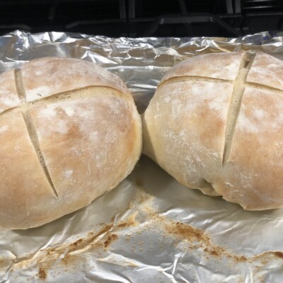 180 Year Old Alaskan Sourdough Starter - Etsy