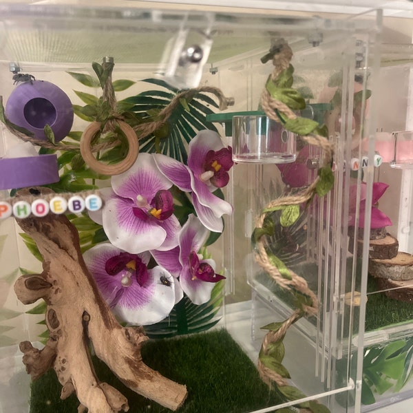 A Unique Terrarium. Starter Set. Terrarium for Tarantulas /spiders ...