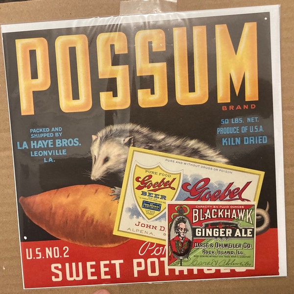 Original Vintage Yam Crate Label 1950s Possum Opossum Leonville ...