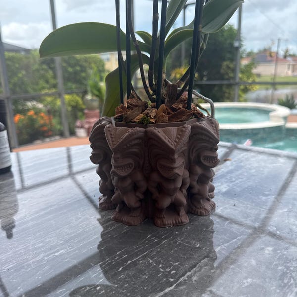 High Detail Human Skull Container - Goth Storage Solution - Skull Box ...