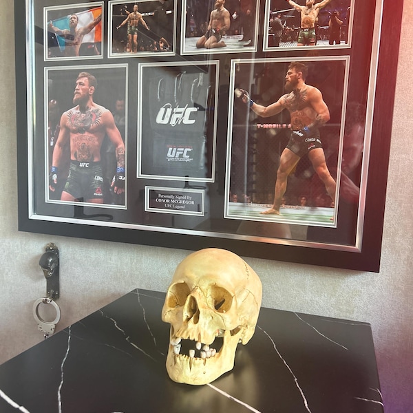 Realistic Human Skull Replica Life-size, Dark Tones, Anatomical Decor ...