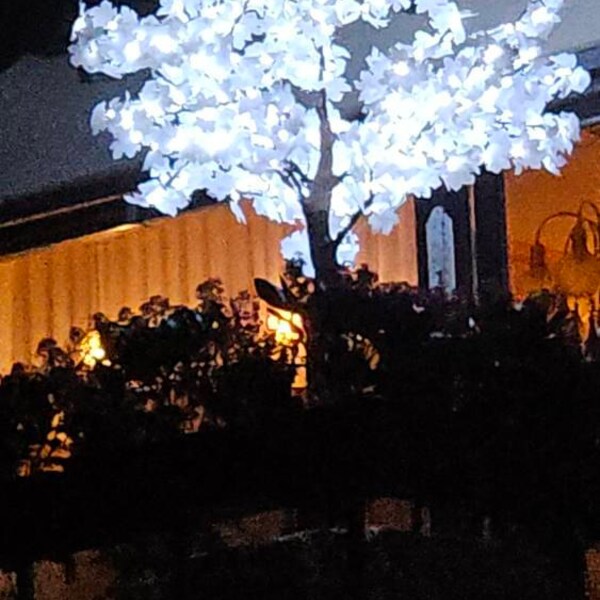 6.0ft/1.8m LED Cherry Tree 646pcs Leds Yellow Sakura Outdoor/indoor Use ...