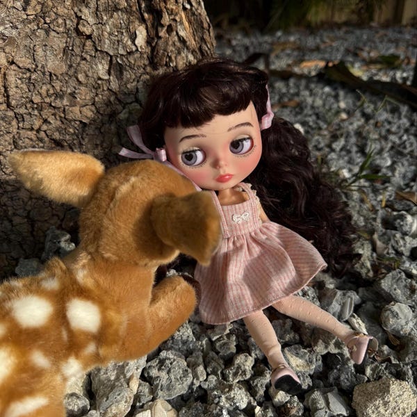 Custom Blythe Doll! Personalized Mini Me Made to Order, Made for You - Etsy