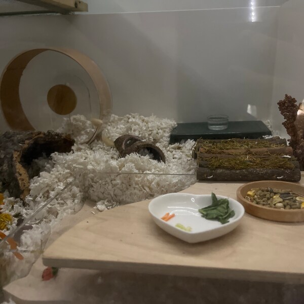 Hamster Stairs, Staircase, Ladder, Bridge, in Natural Wood (hamster ...