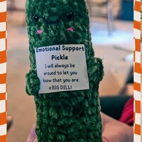 Emotional Support Pickle & Positive Poo Pattern Bundle,us Terms ...