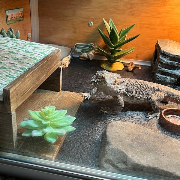 Natural Wooden Reptile Tunnel Hide. Vivarium & Terrarium Decorations ...