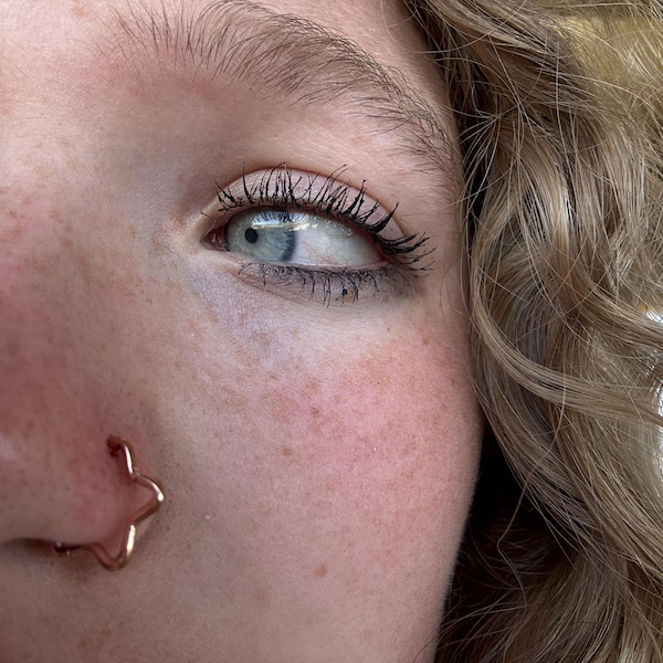 Cute Little Bee Nose Ring 16G Nasal Septum Jewelry Nasal Septum Clicker ...