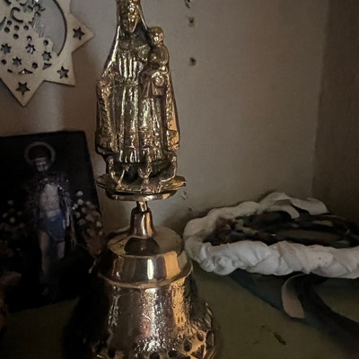 Large Rose of Jericho Resurrection Plant Rosa De Jerico Reviving House ...