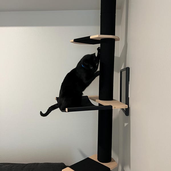 Modern Climber Cat Tree With Hammock, Floor to Ceiling Cat Tree Tower ...